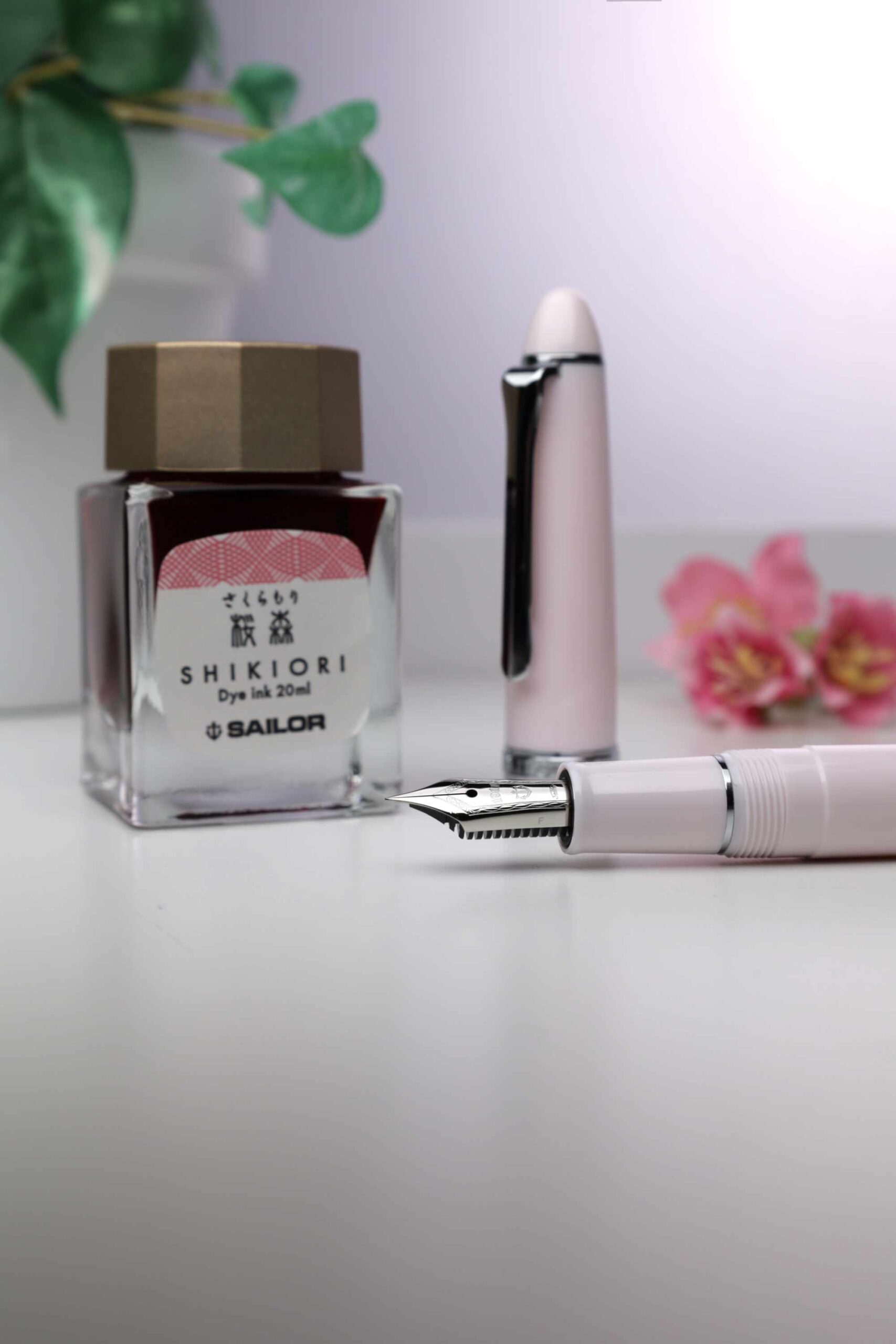 Sailor Procolor 500 – Tudos